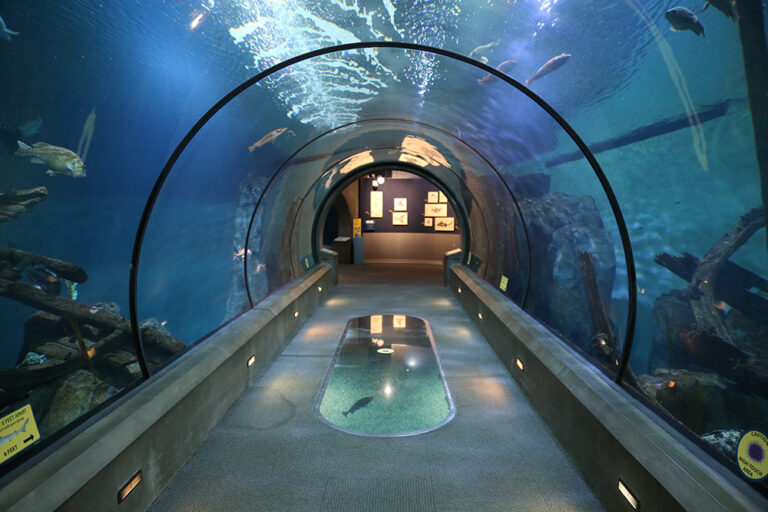 Passages of the Deep - Oregon Coast Aquarium