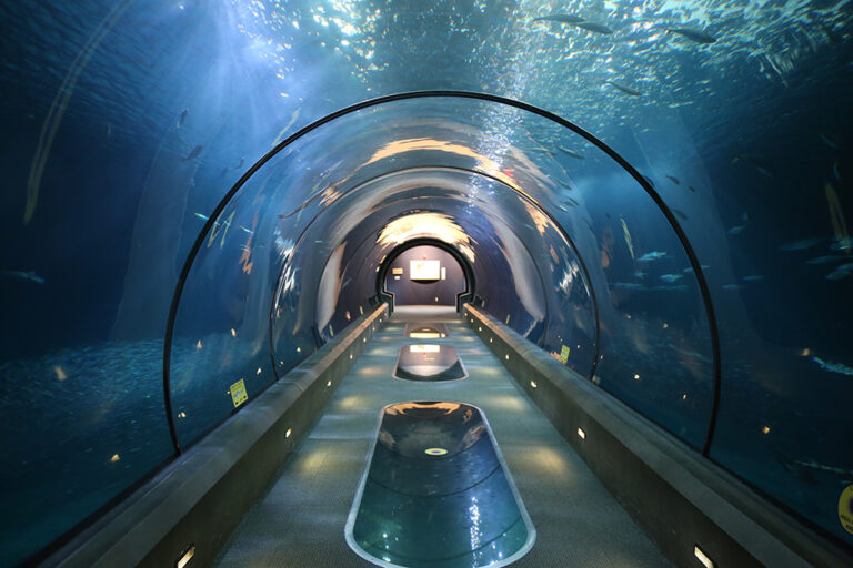 Passages of the Deep - Oregon Coast Aquarium