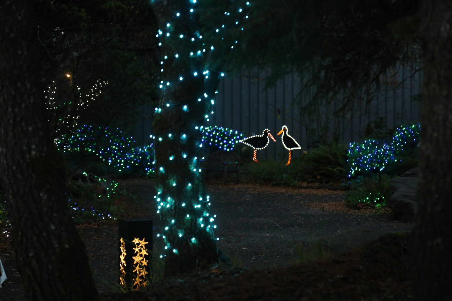 Sea of Lights - Oregon Coast Aquarium