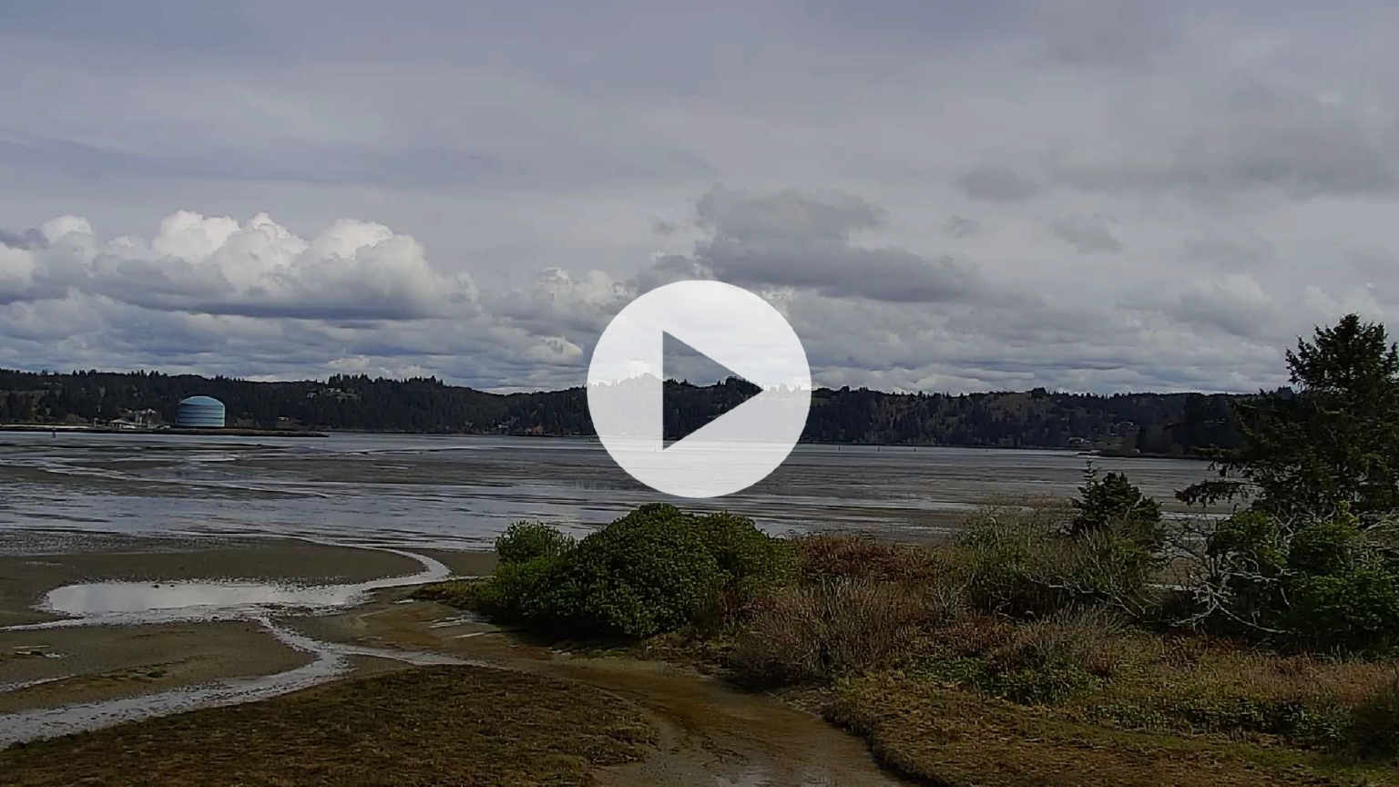 Live Cameras - Oregon Coast Aquarium