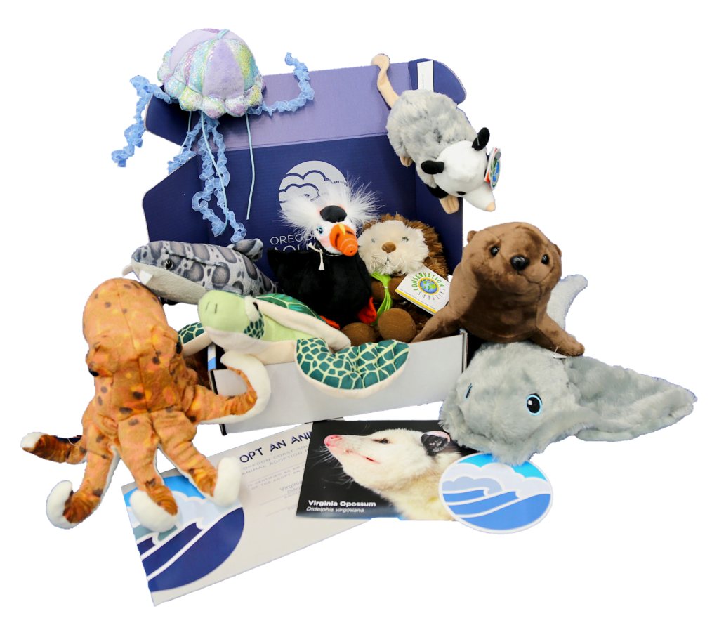 Adopt An Animal - Oregon Coast Aquarium