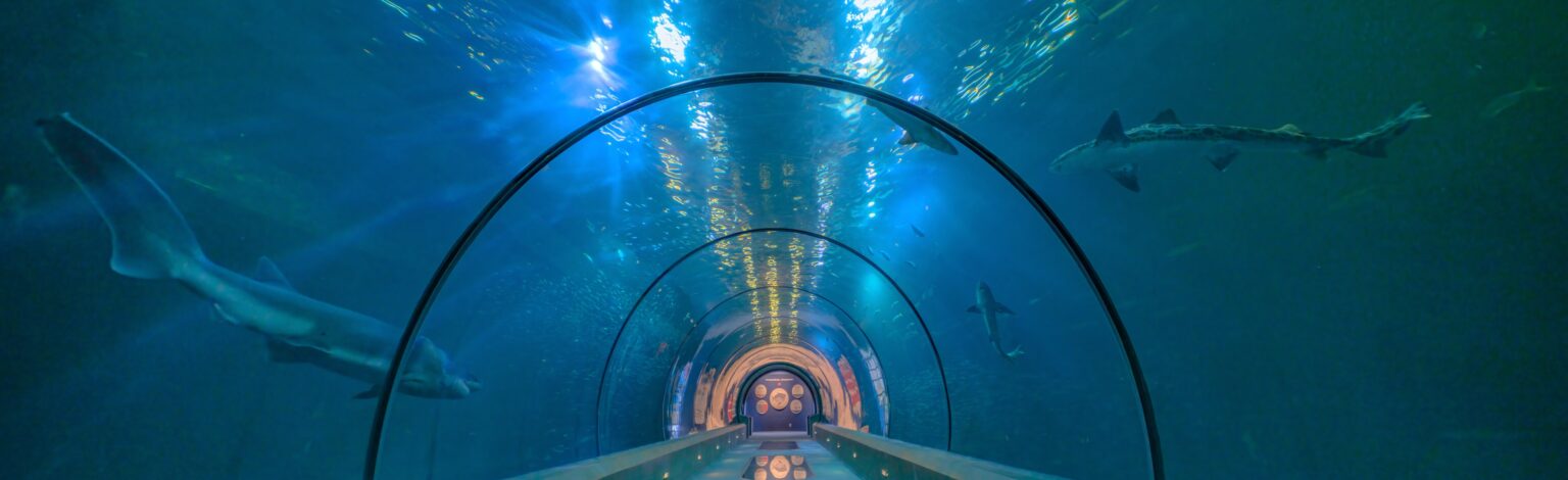 Orford Reef - Oregon Coast Aquarium